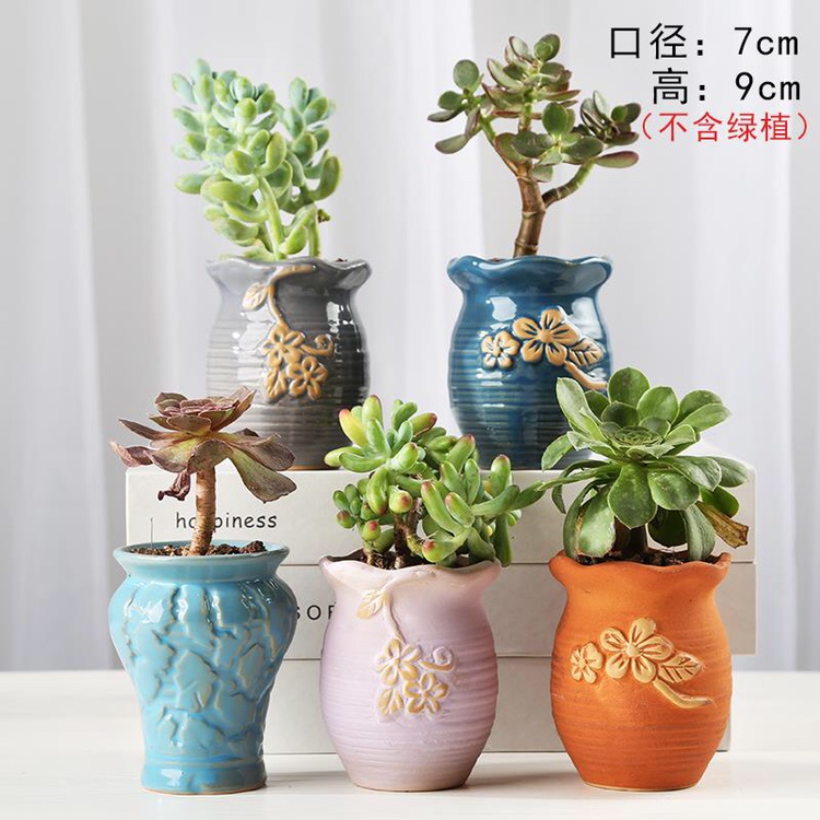 5pcs/set Succulent Pot Cactus Pot Ceramic Pot 陶瓷花盆 多肉花盆 仙人掌盆 花盆 Pasu ...