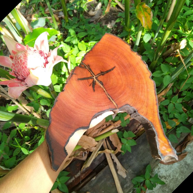 Teras Kayu Belian Sarawak | Shopee Malaysia