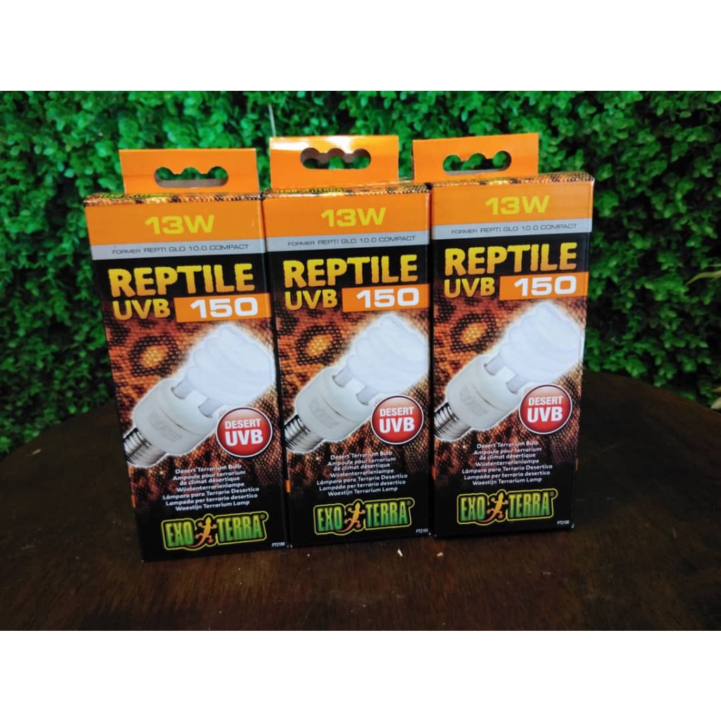 Exo terra Repti Glo UVB 150 (13W) (25W) reptile light bearded dragon sulcata tortoise leopard ...