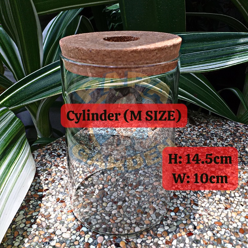 Pasu Kaca Bunga Hiasan Ruang Tamu Hydroponic Glass Vase Transparent Pot ...