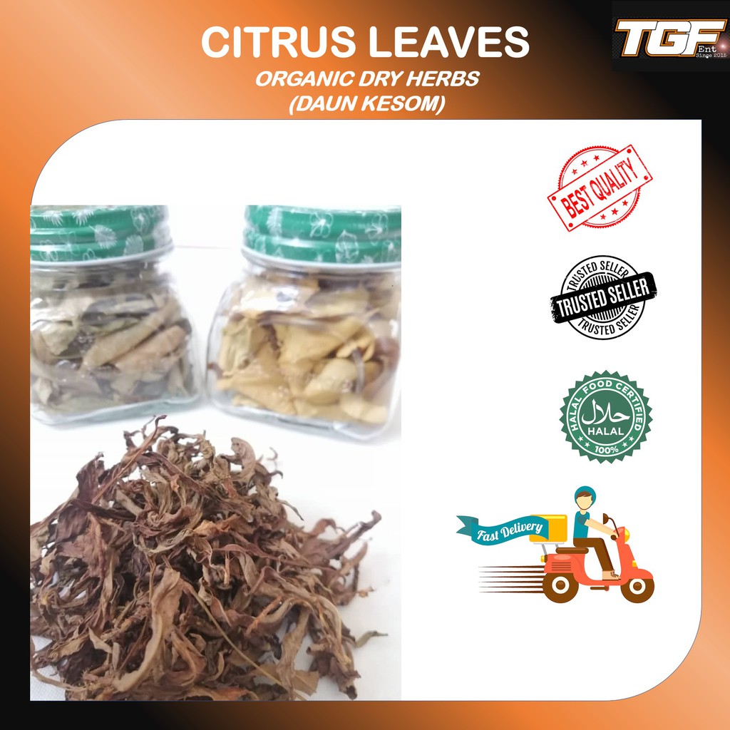 Organic Dry Herbs Citrus Leaves (Daun Kesom) | Shopee Malaysia
