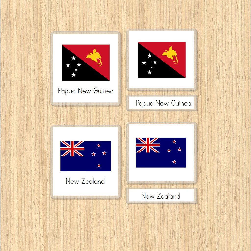 Montessori Three Part Cards Flags of countries in | Shopee Malaysia
