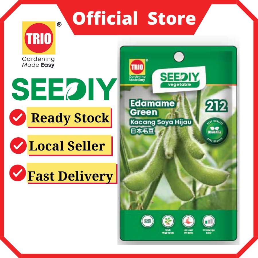 TRIO SEEDIY Edamame Green / 日本毛豆 Kacang Soya Hijau 212 Veggie seeds ...