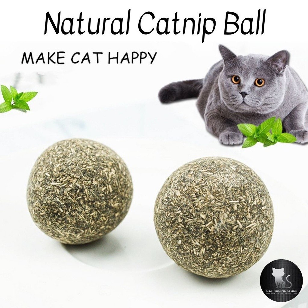 Funny Natural Cat Mint Ball Chew Toy Catnip Ball For Cat Kitten 20g ...