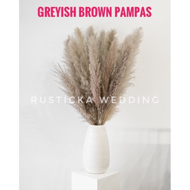 Daun Pampas Kering White Natural Pampas Grass Deco Cream Fluffy Fur ...