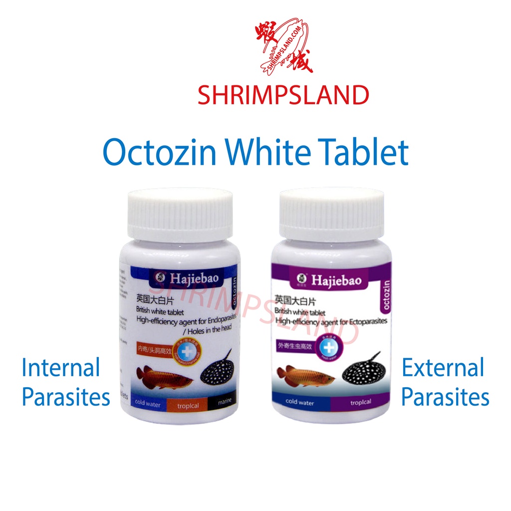 [SHRIMPSLAND] Aquarium Octozin White Tablet For Internal And External ...
