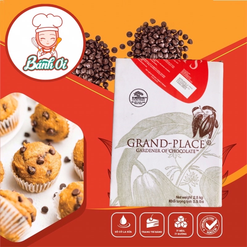 Grand Place black chocolate chips 100g / Chocochip 100g | Shopee Malaysia