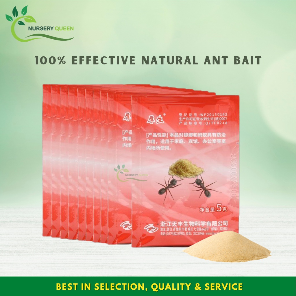100% EFFECTIVE NATURAL ANT BAIT(UBAT SEMUT) | Shopee Malaysia