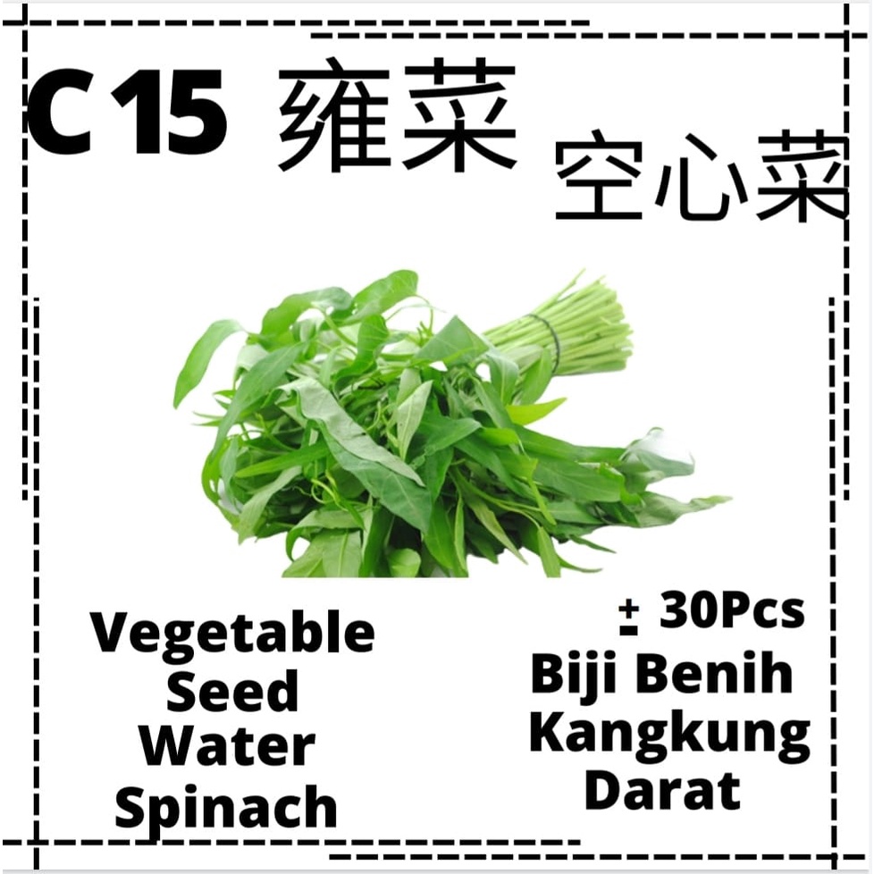 Kailan Kangkung Sawi Japanese Salad Biji Benih Vege Sayur sayuran ...