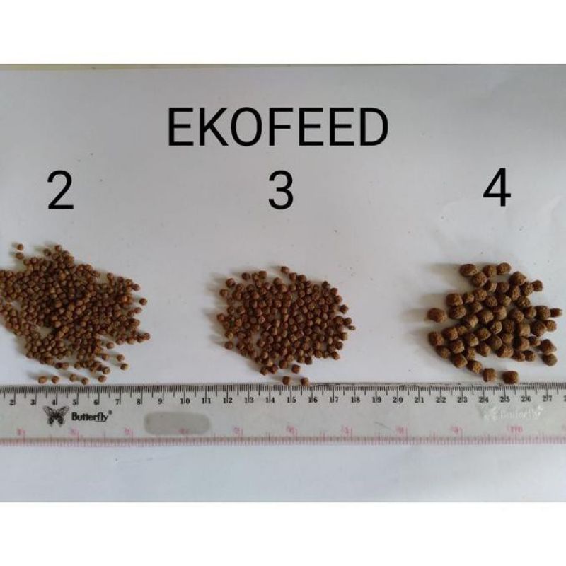 Eco feed fish food -2 | Shopee Malaysia