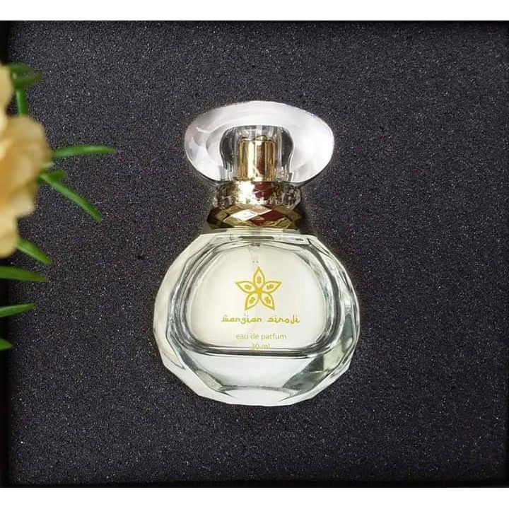 💯 Original Perfume Wangian Siroji Eau De Parfum 30ml For him her ...