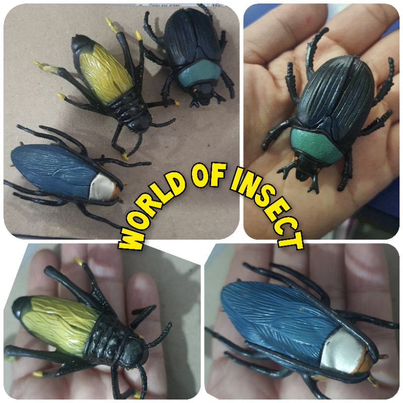 World of insect/education Toy/ ABM / insect REAL /Mainan serangga ...