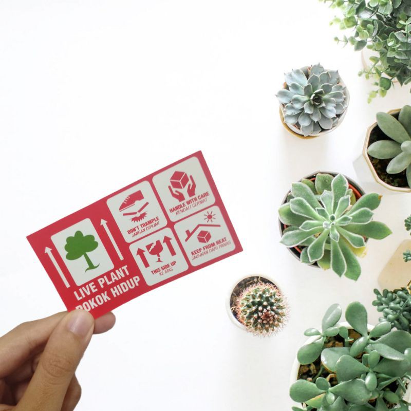 !! 1PC 5X9CM !! STICKER POKOK HIDUP 🌱LIVE PLANT STICKER ON BOARD 🥀 ...