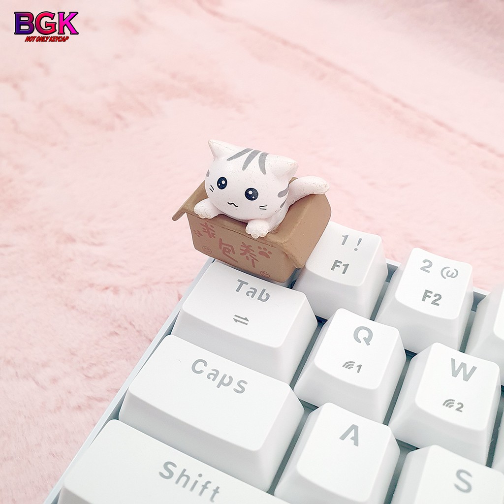 Odd Keycap with the image of a Kitten in a Box, super cute Artisan ...