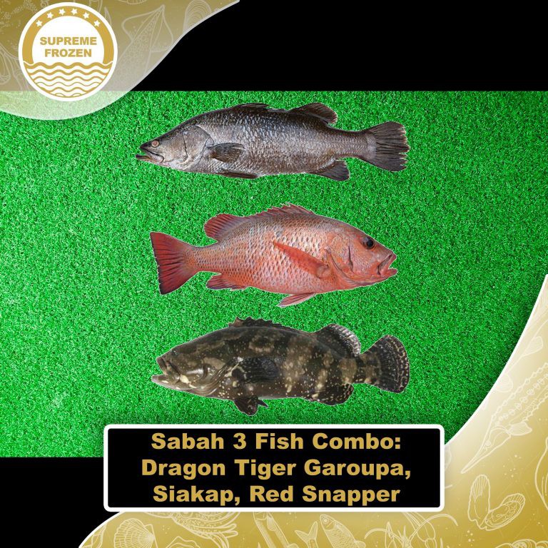 Sabah 3 Fish Combo : Dragon Tiger Garoupa, Red Snapper, Siakap ...