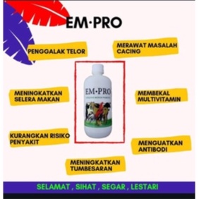 [PROMOSI] EMPRO EM1 EM2 EM3 EFFECTIVE MICROBE VITAMIN TERNAKAN (AYAM ...