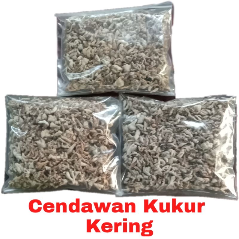 Cendawan Kukur Kering | Shopee Malaysia