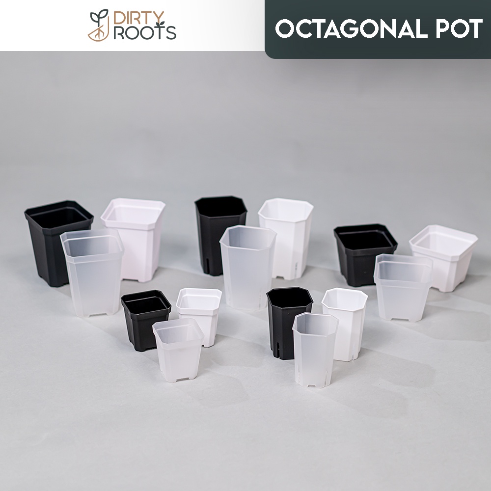 Octagonal Pot Suitable for Succulent Aroid Nursery Pots Propagation ...