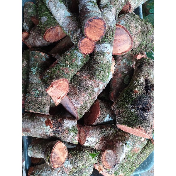 Kayu api / camping / fire pit / bbq / unggun api / kayu rambutan murah ...