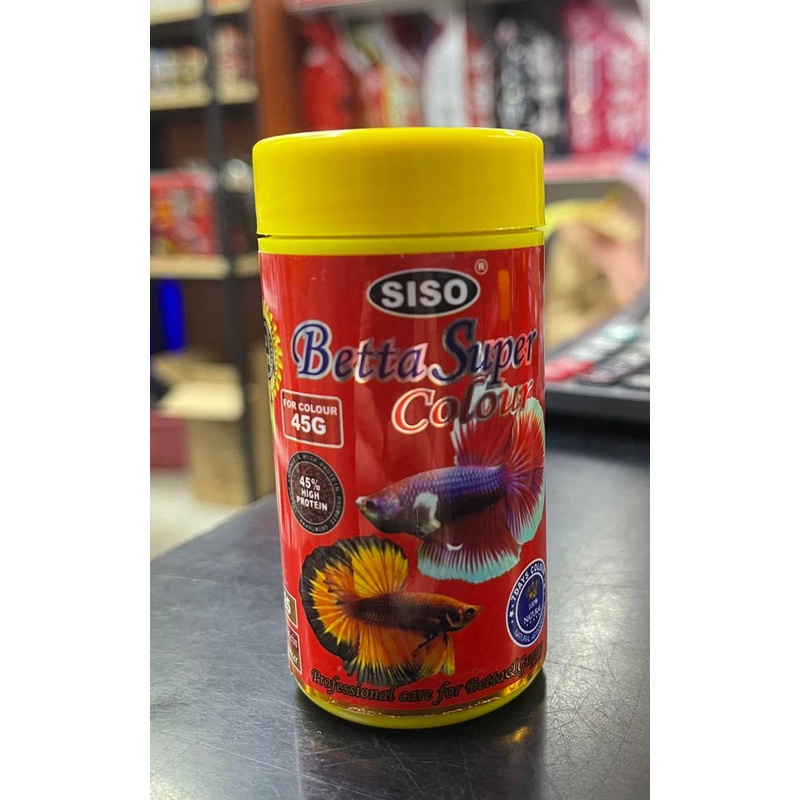 siso betta super colour | Shopee Malaysia