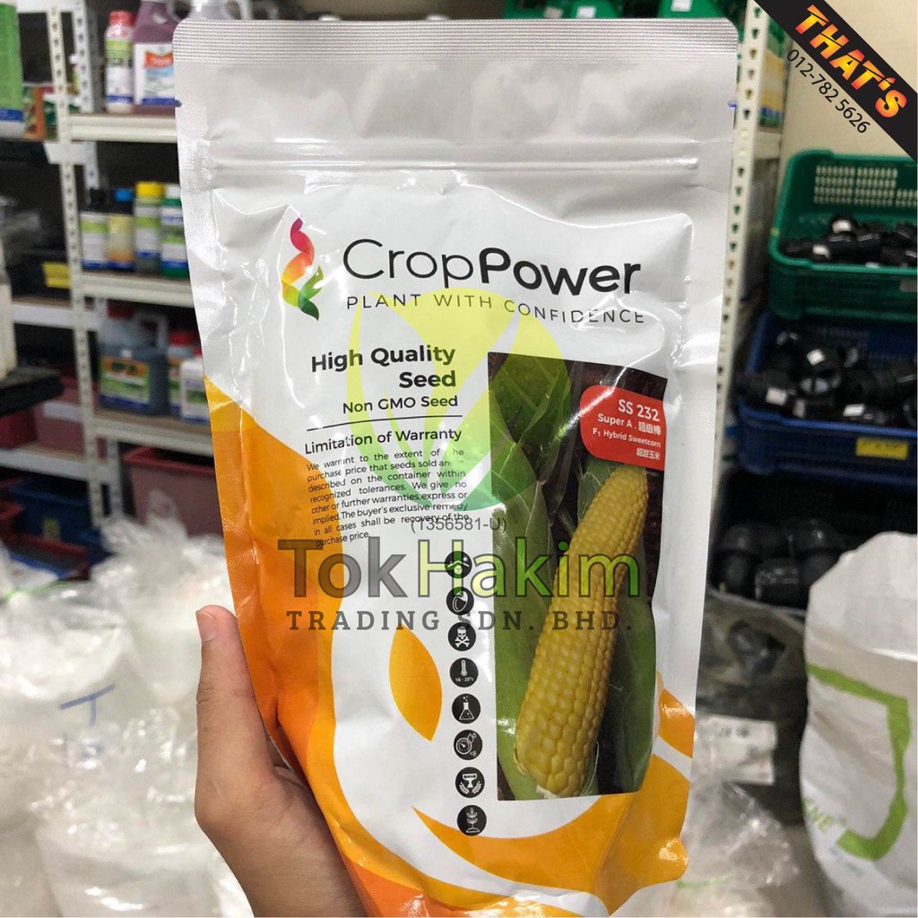 Benih Jagung Manis/Sweet Corn SS232 Hibrid F1 CROP POWER (Repack 10gm ...