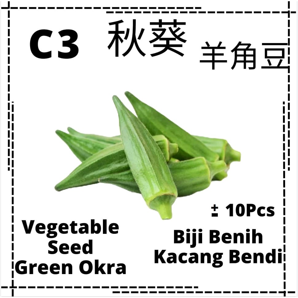 Kailan Kangkung Sawi Japanese Salad Biji Benih Vege Sayur sayuran ...