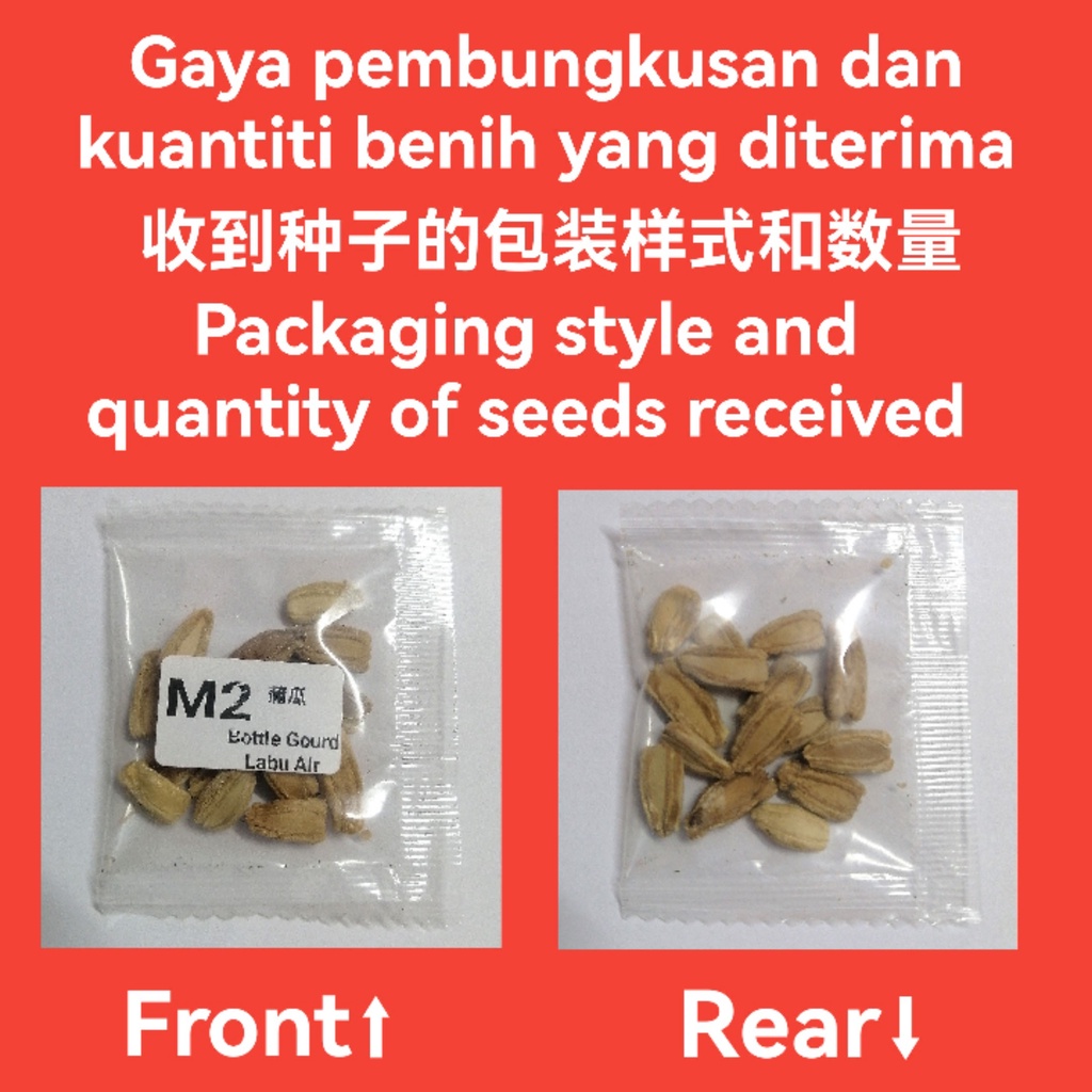 M2 Biji Benih Labu Air（12ps +/-）/ Bottle Gourd Seeds / 蒲瓜种子 / Vegetable ...