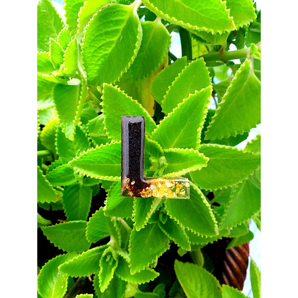 *Ready Stock* Resin Alphabet "L" Keychain (Favourite Black with gold ...