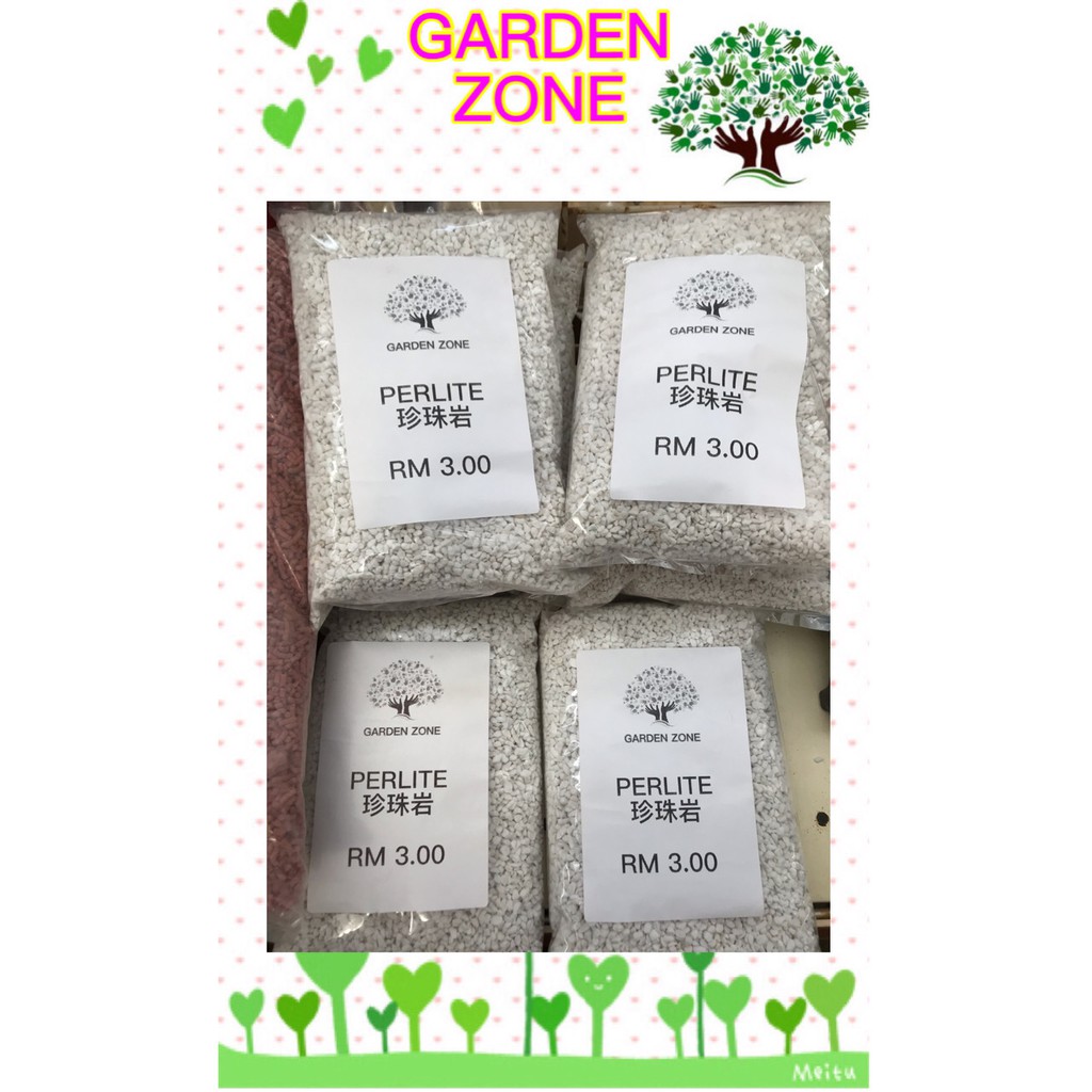 Perlite Succulent Plant Cactus PERLITE STONE BONSAI SUCCULENT CACTUS ...