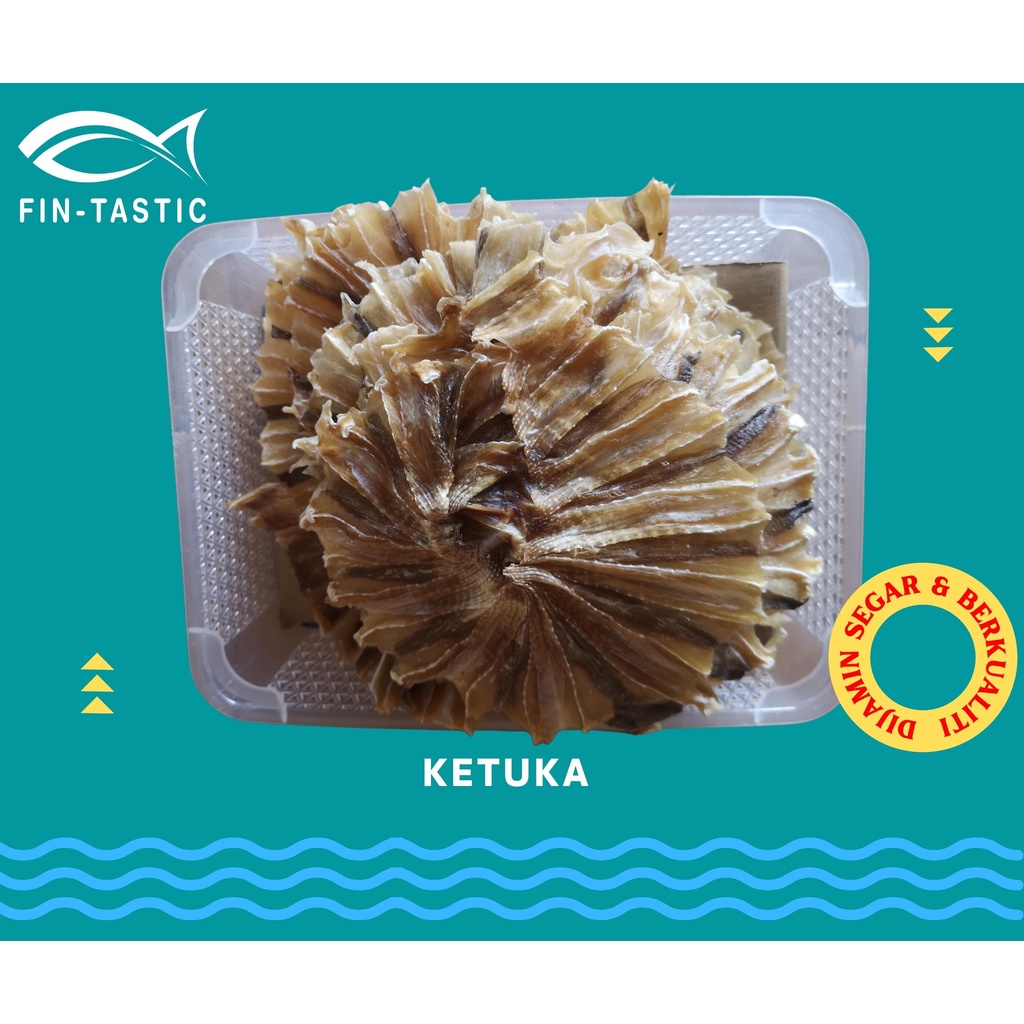 Ikan Kering Ketuka/Pari Ketuka Kering/Dried Dwarf Whiprays Asli Tanjugn ...