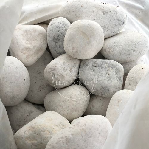 White Pebble Stone Rock Batu Putih Ready Stock | Shopee Malaysia