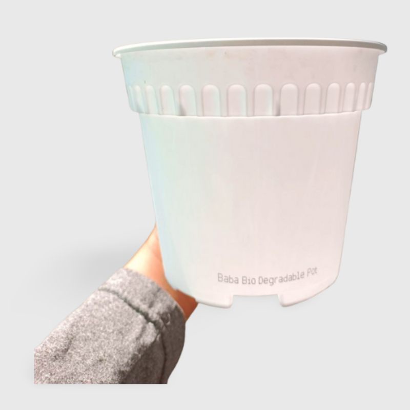 MKT - BABA BI-RD-150 Pot / Biodegradable Flower Pot / Pasu Bunga Mesra ...