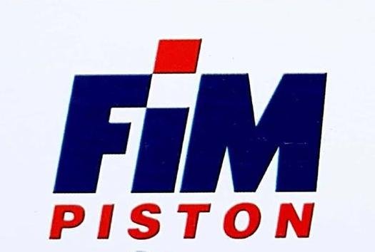 Piston FIM Code 2 Oversize 100 Diameter 54.50 Pin 13 Basic Modification ...
