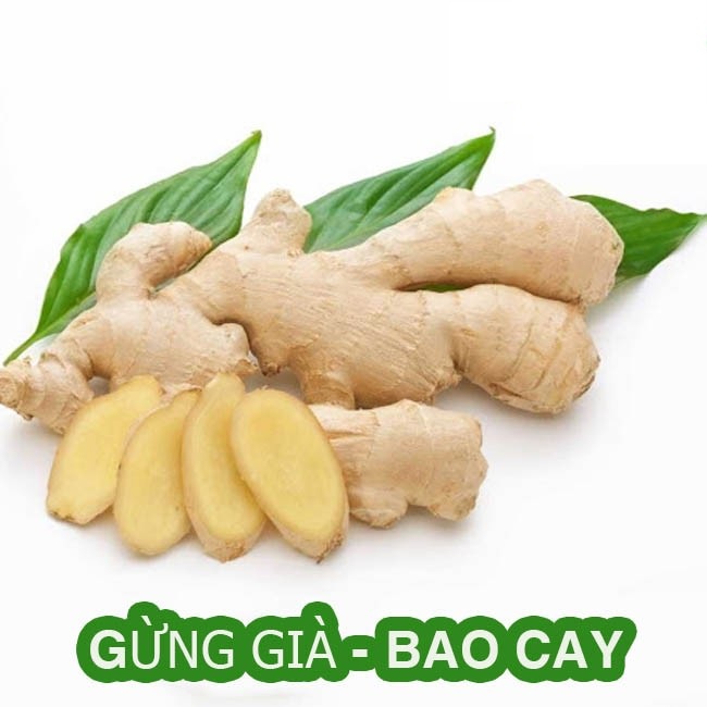 Fresh ginger root 1kg | Shopee Malaysia