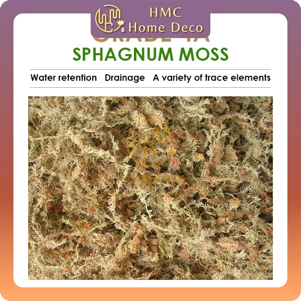 HMC 900g 4A High Quality Sphagnum Moss Orchid Plant Media Lumut Kering ...