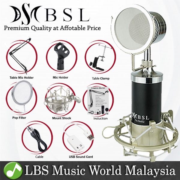 BSL BM-8000 Mic The Bottle Condenser Microphone for Studio Recoding ...