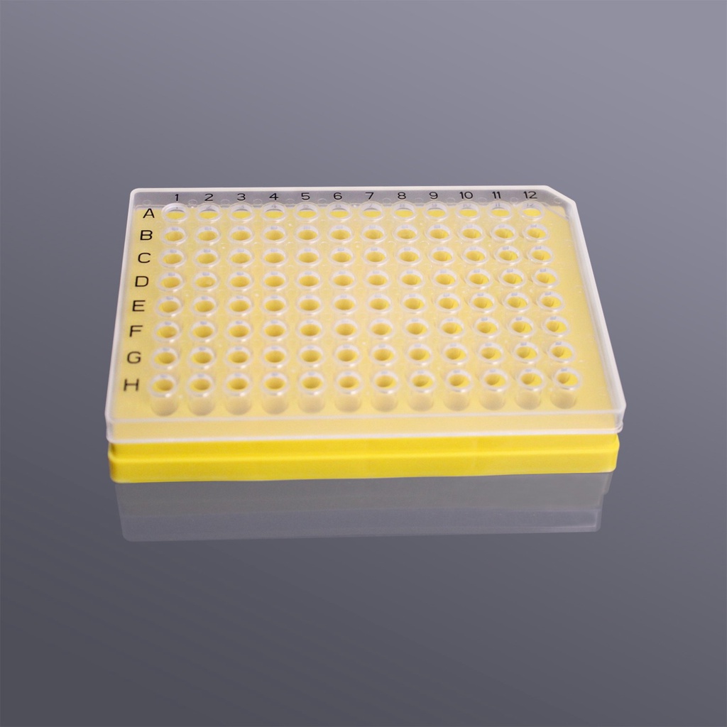 0.2mL PCR tube rack, for PCR tubes and 96 PCR plate | Shopee Malaysia