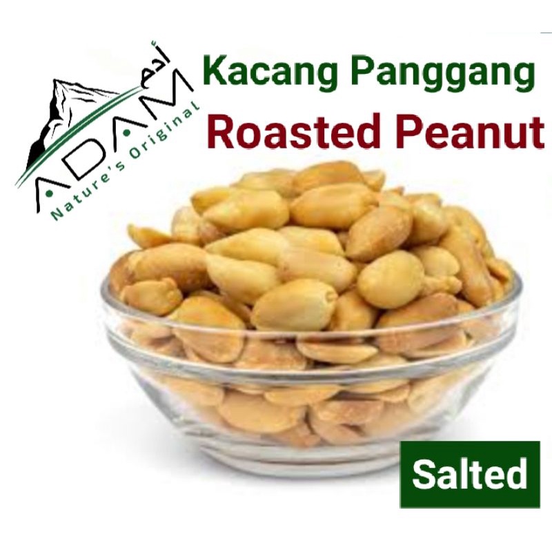 Kacang Panggang / Roasted Peanut (Salted) | Shopee Malaysia