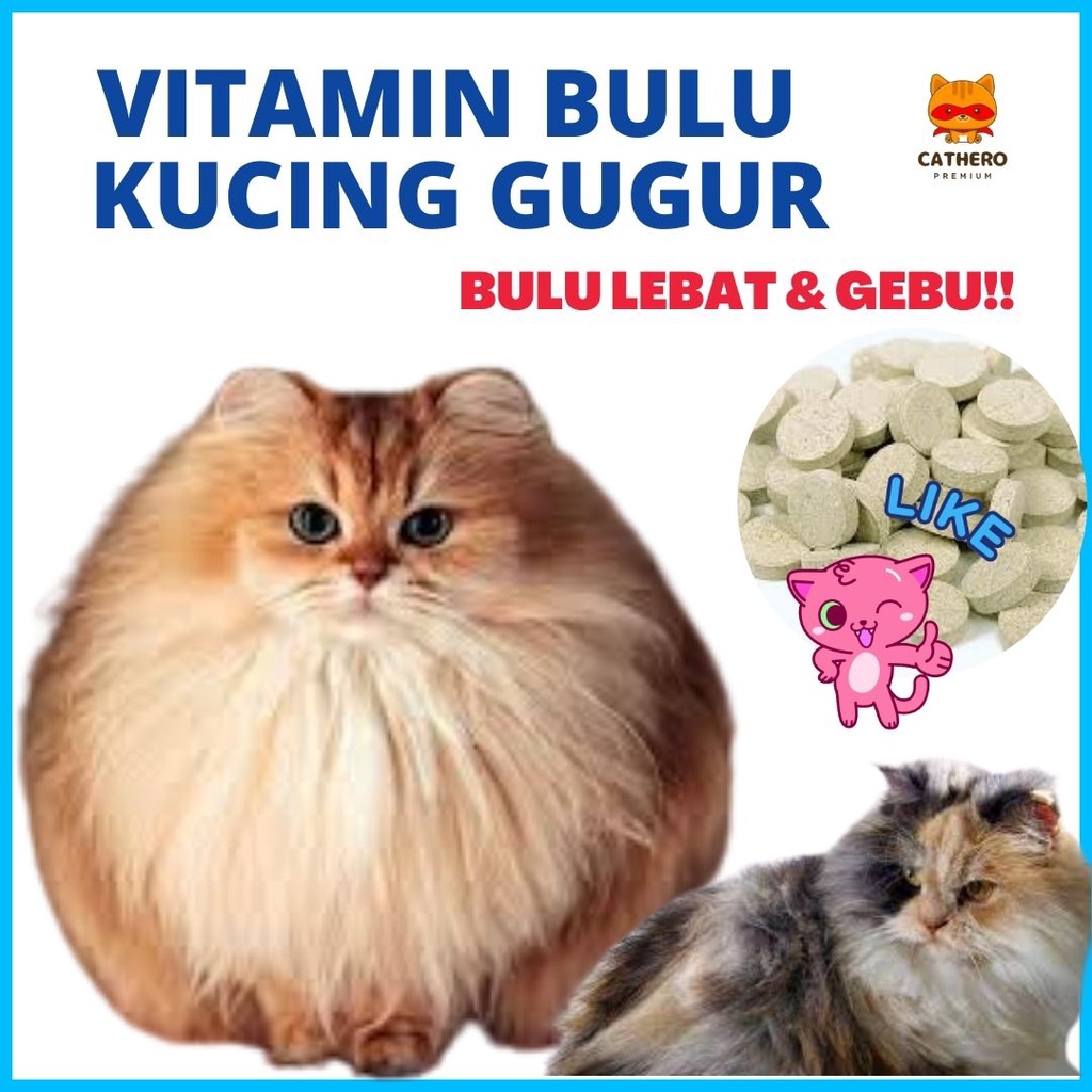 CATHERO Vitamin Bulu Kucing Gugur Cat Vitamin Kucing Cantikkan Gebukan ...
