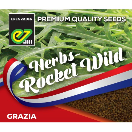 ENZA ZADEN - Herb Seeds - ROCKET WILD - GRAZIA - Product of Holland ...
