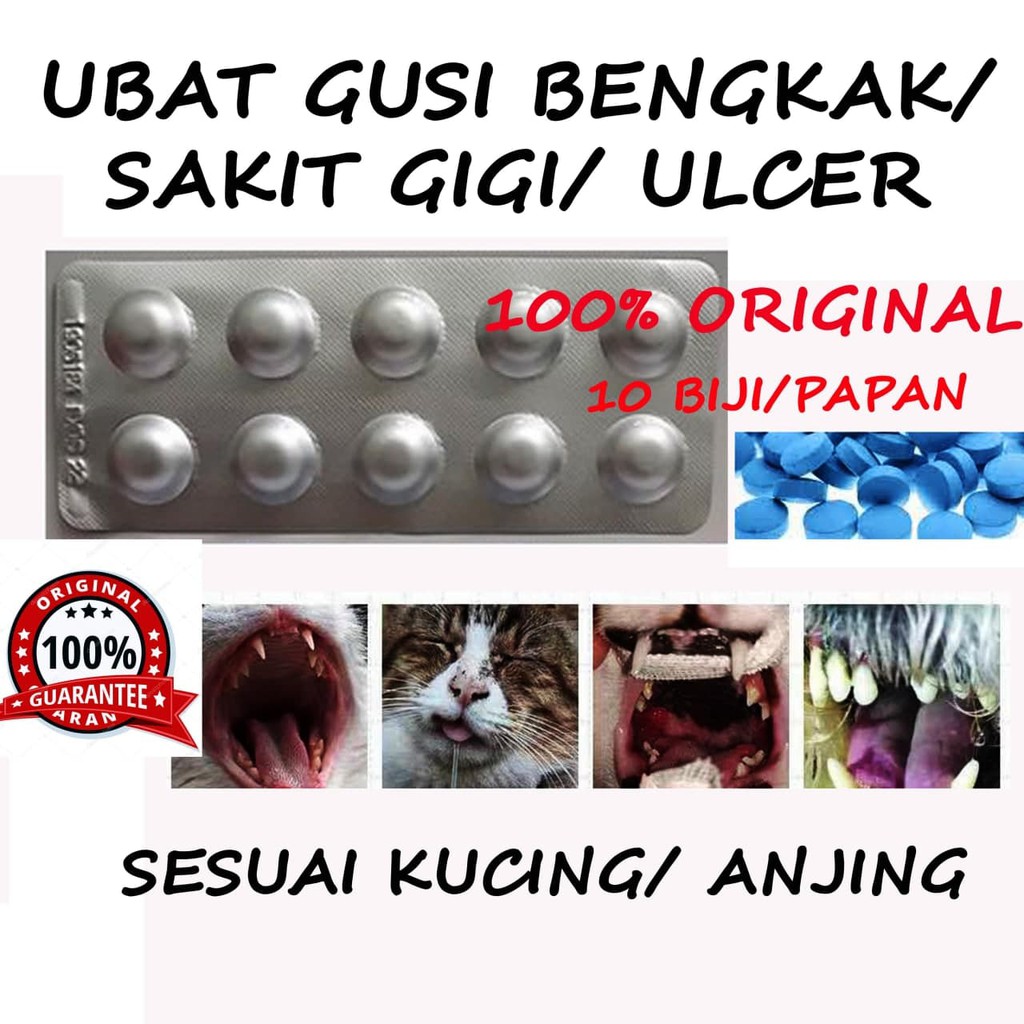 Ubat Ulcer / Turun Bengkak / Bisul/ Ruam Kucing & Anjing Cats & Dogs ...