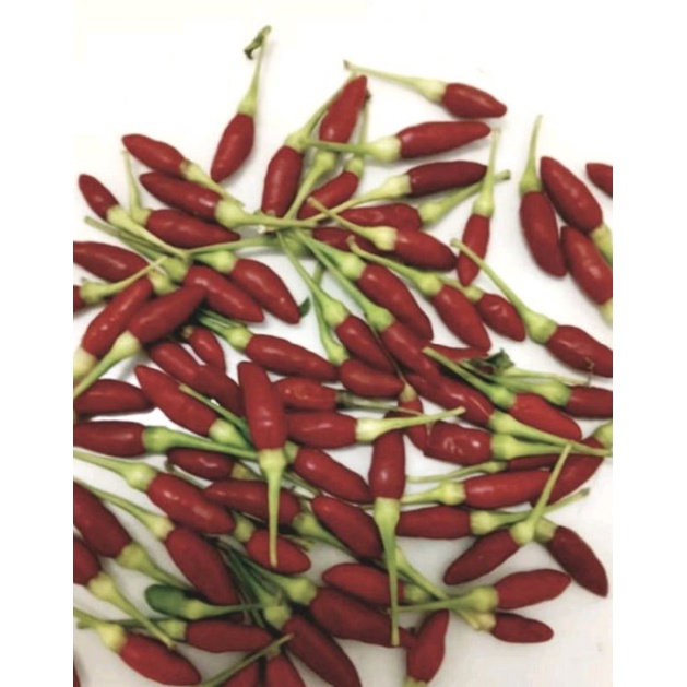 BENIH CILI API KAMPUNG (Repacking RM5- 60pcs) | Shopee Malaysia