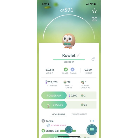 (722) Rowlet Pokemon Go Trade | Shopee Malaysia