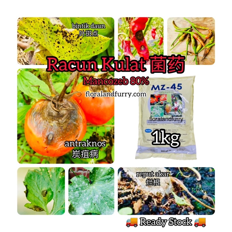 MZ45 1KG Mancozeb Racun Kulat 80 Kencozeb Carbendazim Dithane Fungicide ...