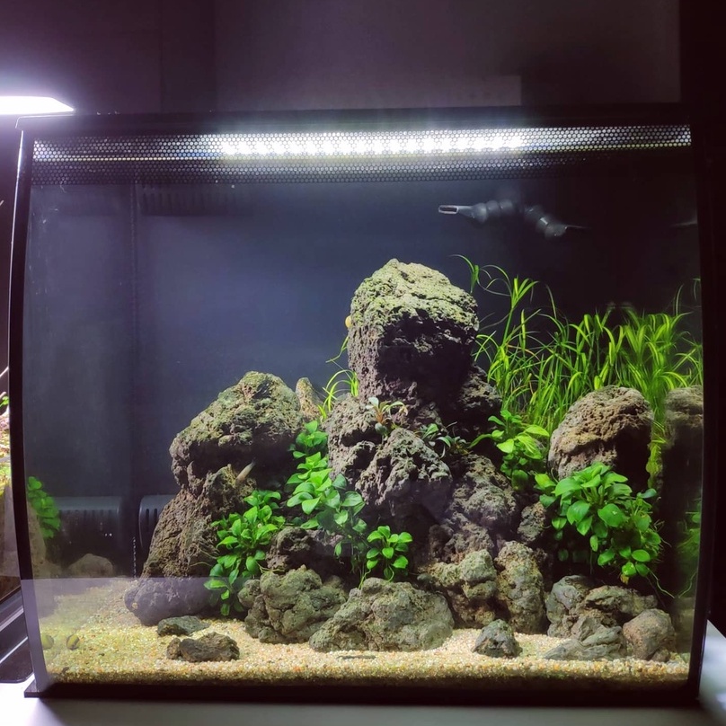 Brown Lava Rocks Volcanic Rocks for Aquarium Aquascape Hardscape ...