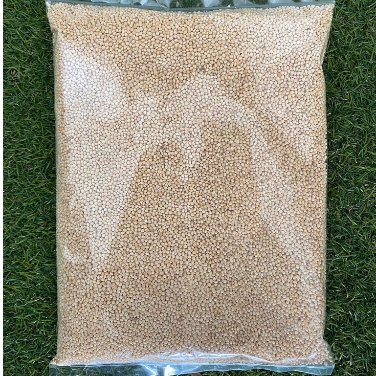 White Millet | Yellow Millet | Bird Food | Makanan Burung | Bird Seed ...