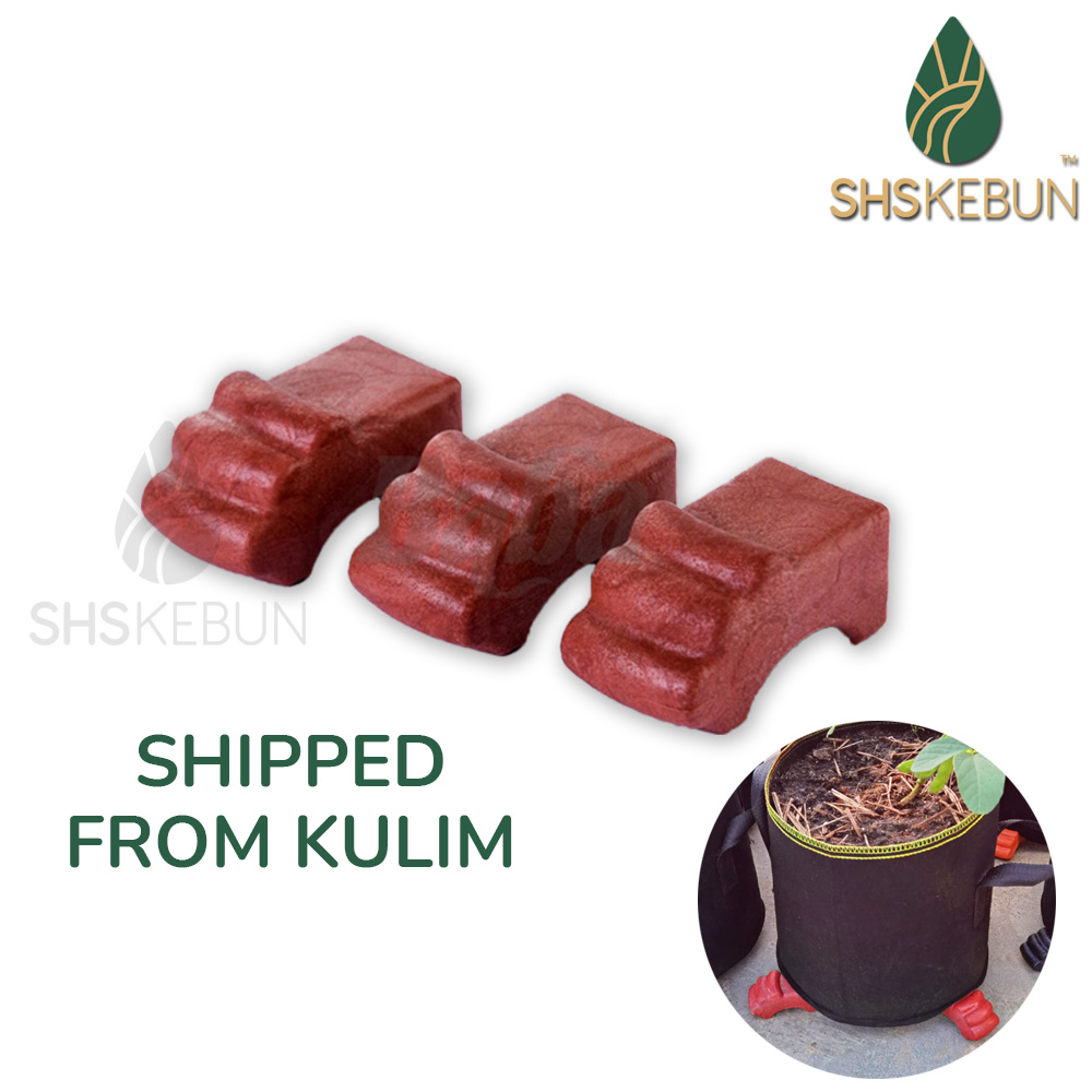 Baba Pot Feet 3 pcs per Pack Kaki Pasu 951 花盆脚 16.3 cm x 9.5 cm x 9.5 ...