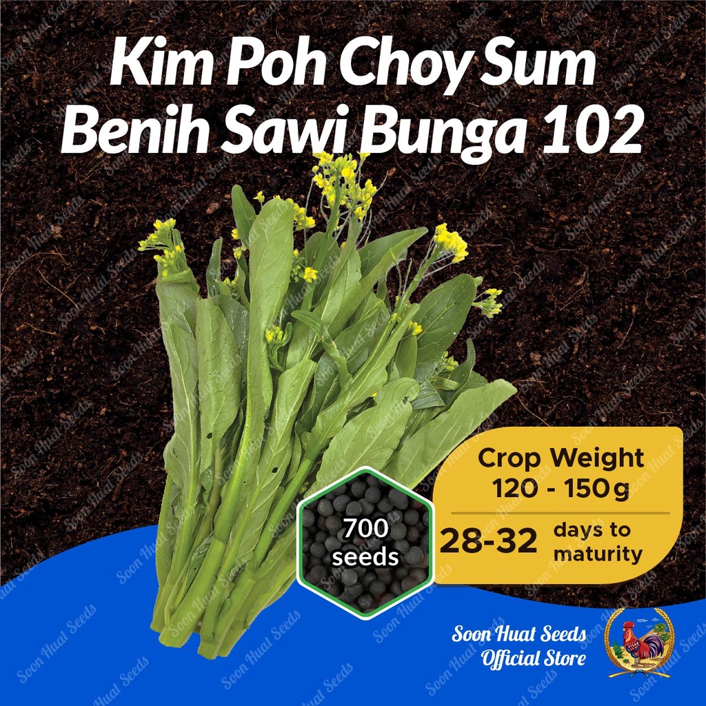 Benih Kim Poh Choy Sum Sawi Bunga Seeds 102 [Small Pack/30g] 金保菜心種子 Soon Huat Seeds | Shopee ...