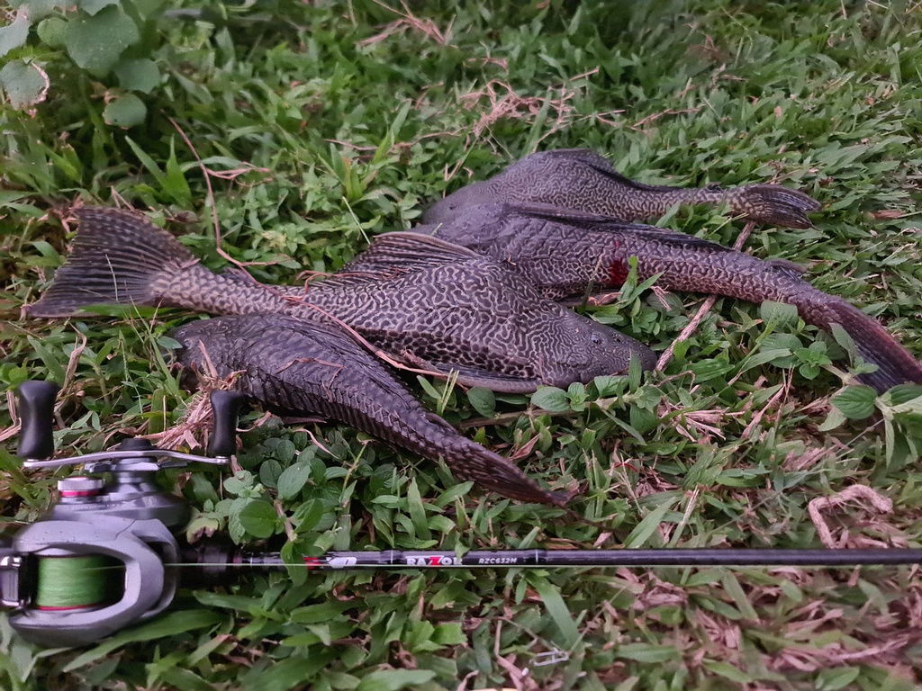 EXP RAZOR ROD Carbon Fiber 2PCS Fishing Rod Medium Light M Medium Heavy ...