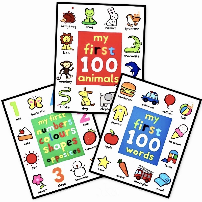 MY FIRST 100 Word Dictionary (Kids Early Learning) | Shopee Malaysia